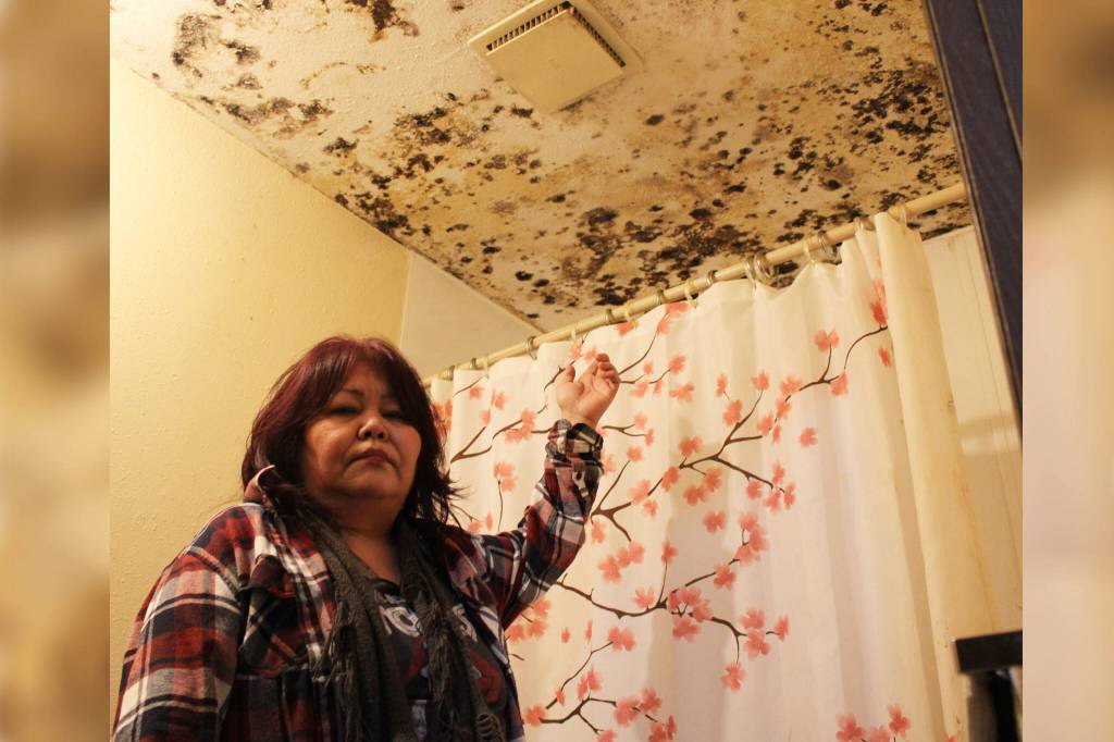 Mould endangers 60 tenants of rundown B.C. building: BCCDC report | The ...