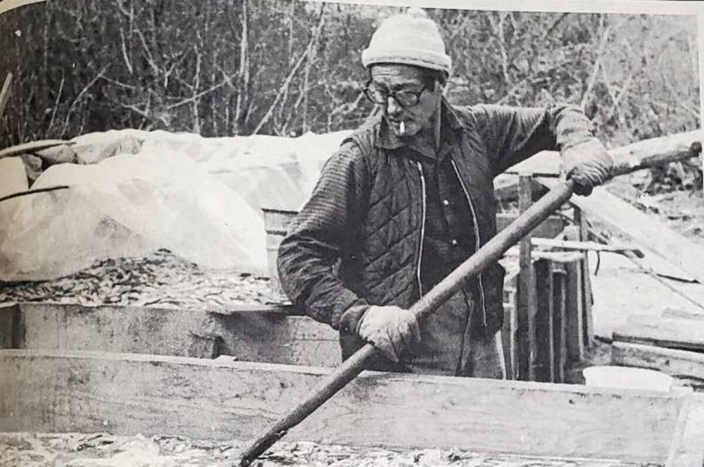 Nuxalk celebrate long-awaited return of eulachon in Bella Coola | The ...